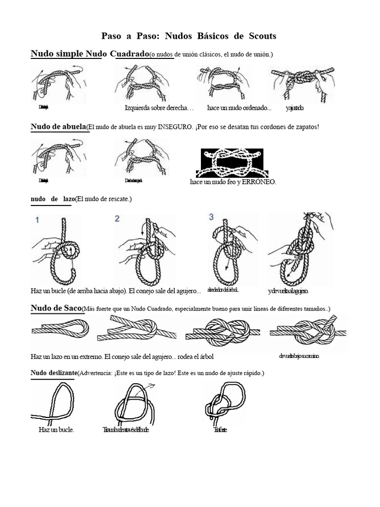 Paso A Paso Nudos 11 Nudos Básicos de Scout PDF | PDF