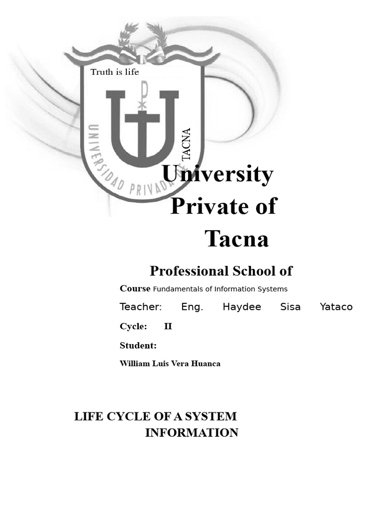 Life Cycle Report | PDF | Data Model | Computing