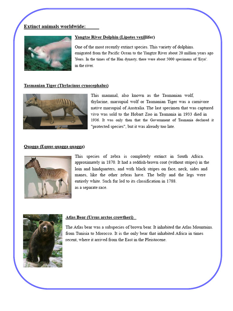 Extinct Animals: Notable Species Overview | PDF | Zoology
