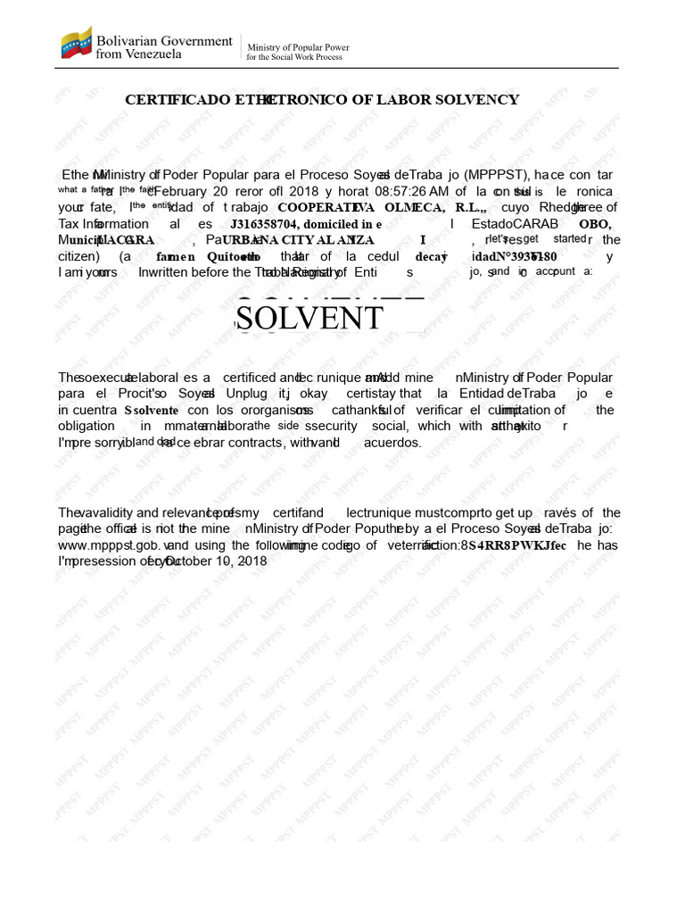 Solvency | PDF