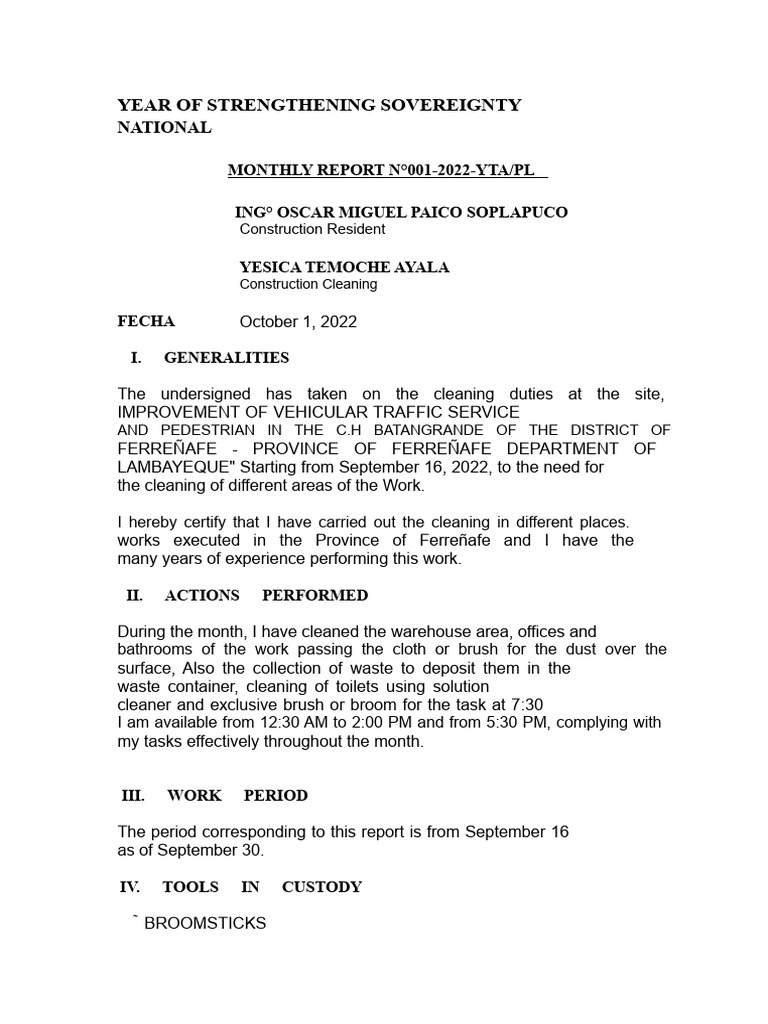 Cleaning Report | PDF