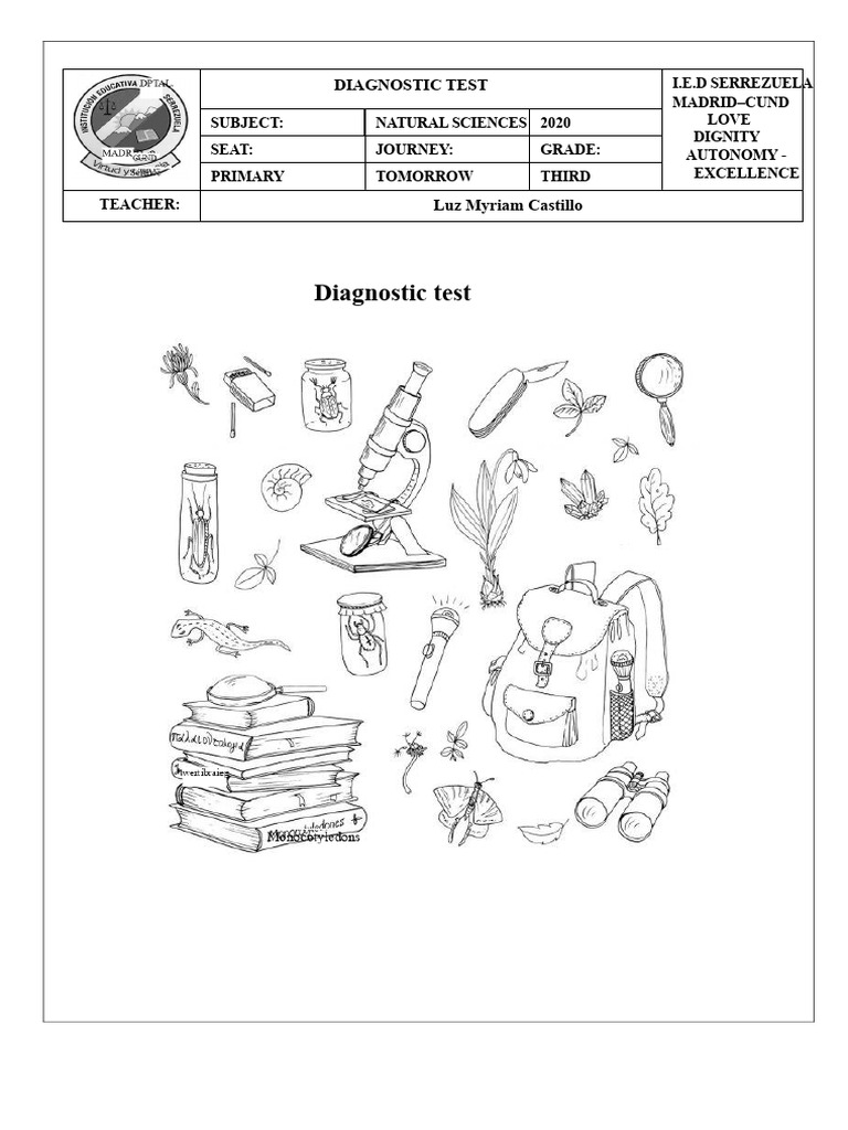 Diagnostic Test Grade 3 - Natural Sciences | PDF | Plants | Leaf