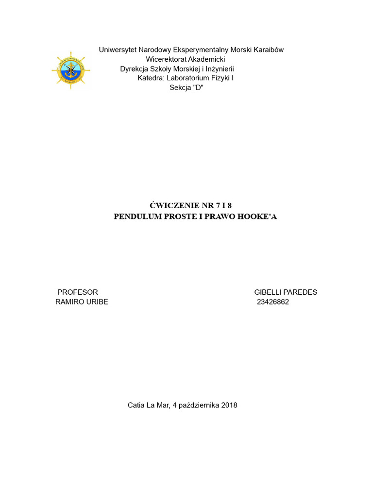 Raport Gibe | PDF