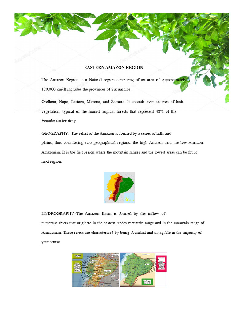 Eastern Amazon Region Overview | PDF | Amazon Rainforest | Tropics