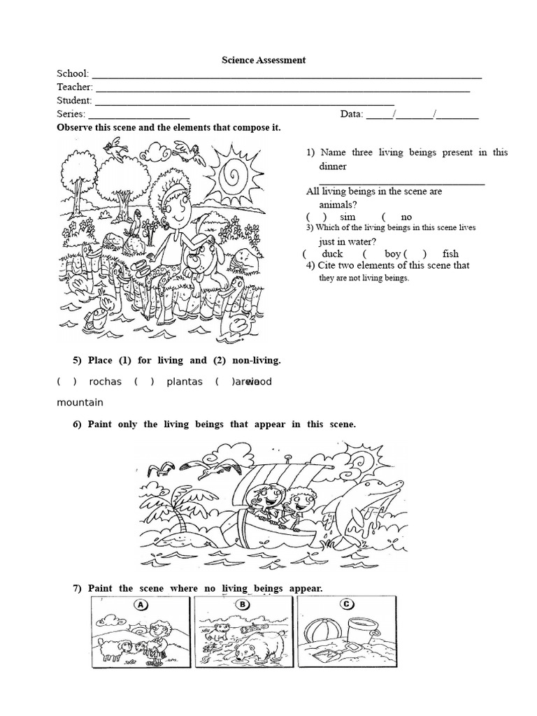 Science Assessment | PDF | Herbivore | Zoology