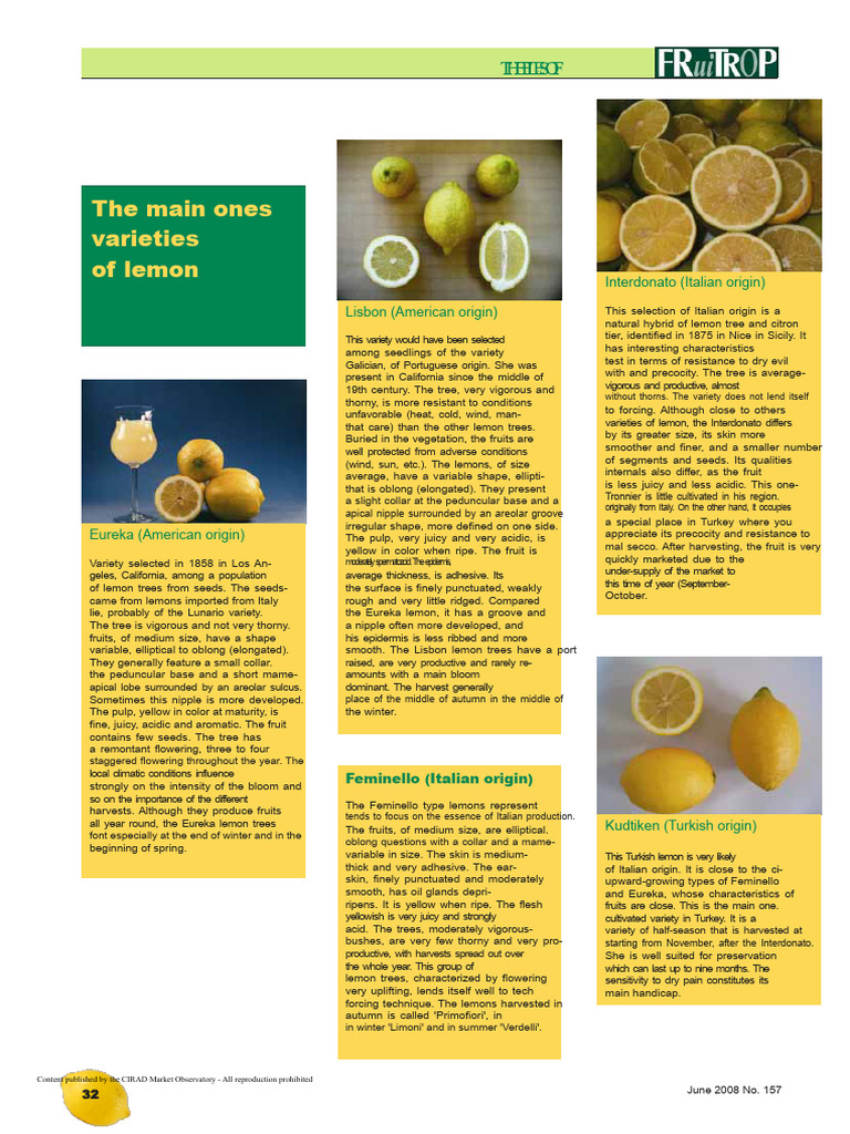 The Main Ones Varieties of Lemon: Thefilesof | PDF | Lemon | Trees