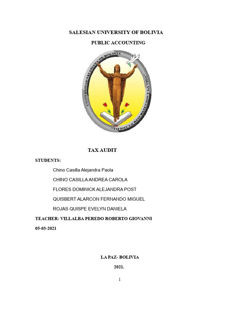 Clean Tax Audit Report | PDF | Taxes | Audit