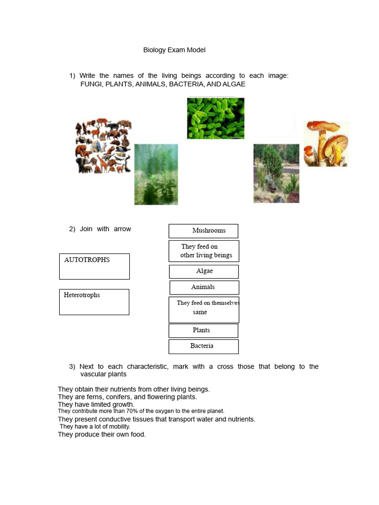Biology Exam Model 1st Year 1st Trimester | PDF