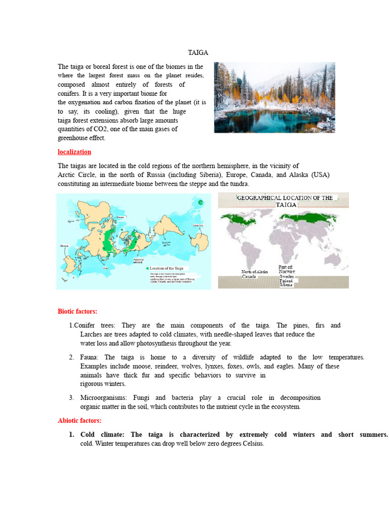 TAIGA | PDF | Forests | Ecosystem