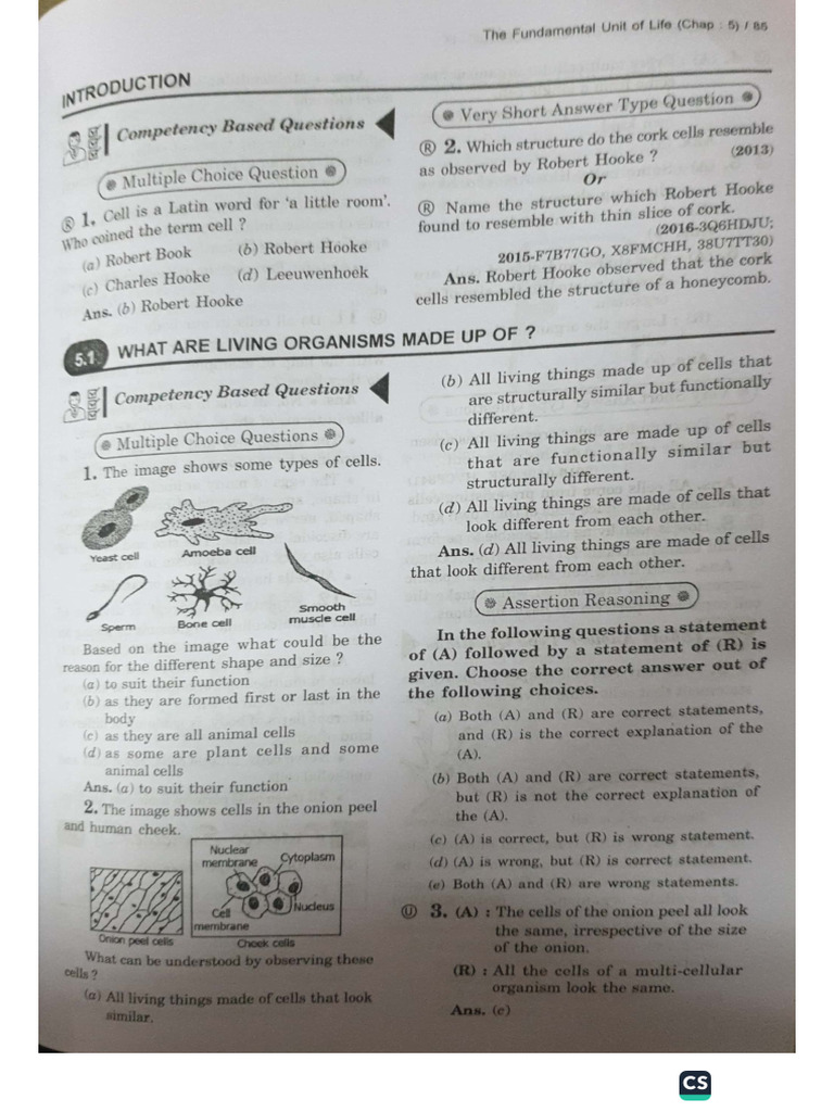 9th Bio..Ch5 n 6(Plant Tissues) | PDF