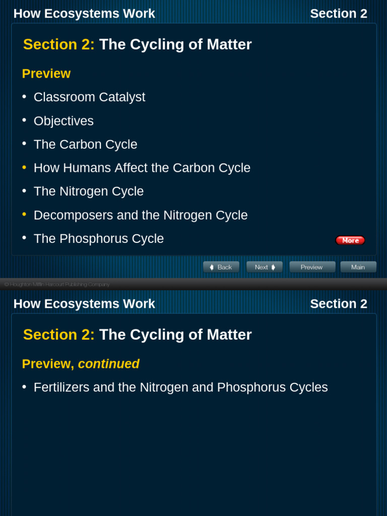 Section 2 The Cycling of Matter | PDF | Ecosystem | Atmosphere Of Earth