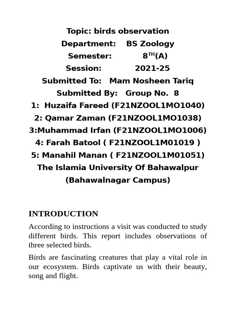 Report Ornithology (8) 1 | PDF | Birds | Zoology
