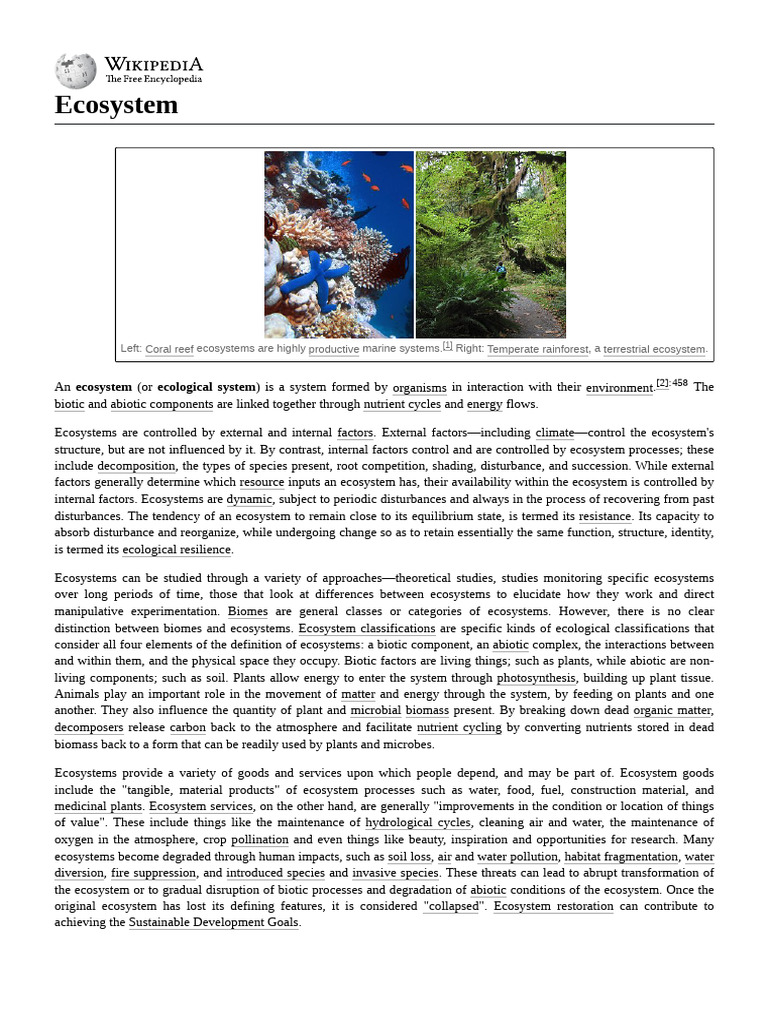 Understanding Ecosystems and Their Dynamics | PDF | Ecosystem | Primary ...
