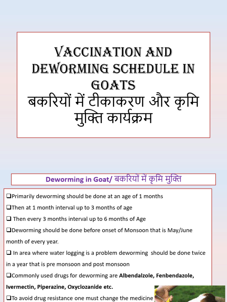 Vaccination and Deworming Schedule in Goats | PDF