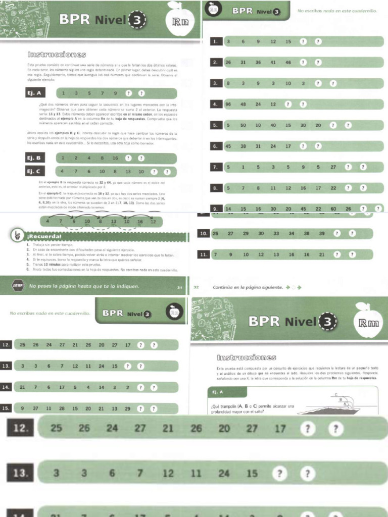 BPR RN | PDF