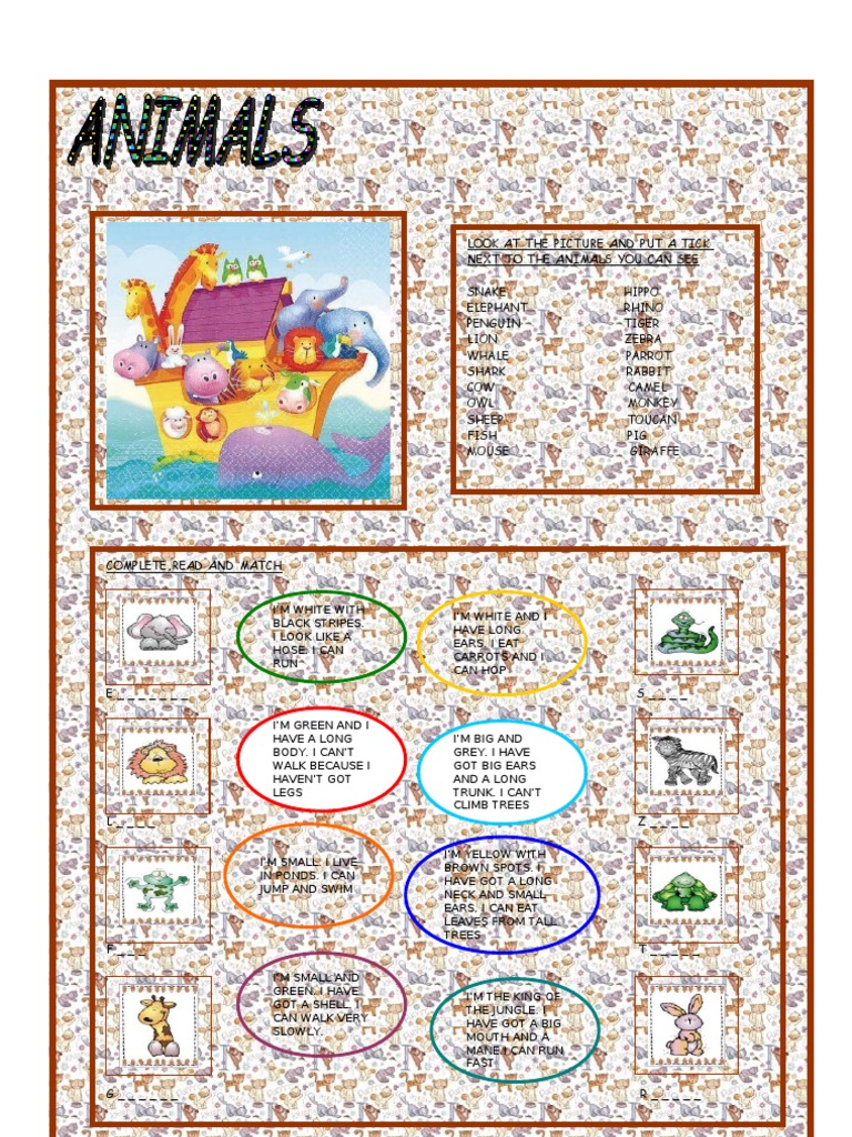 Animal Identification and Matching Activity | PDF