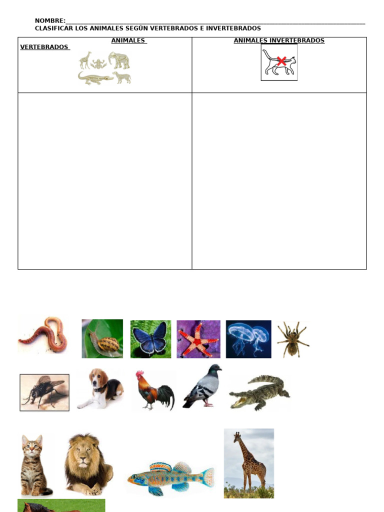Clasificación de Animales: Vertebrados e Invertebrados | PDF