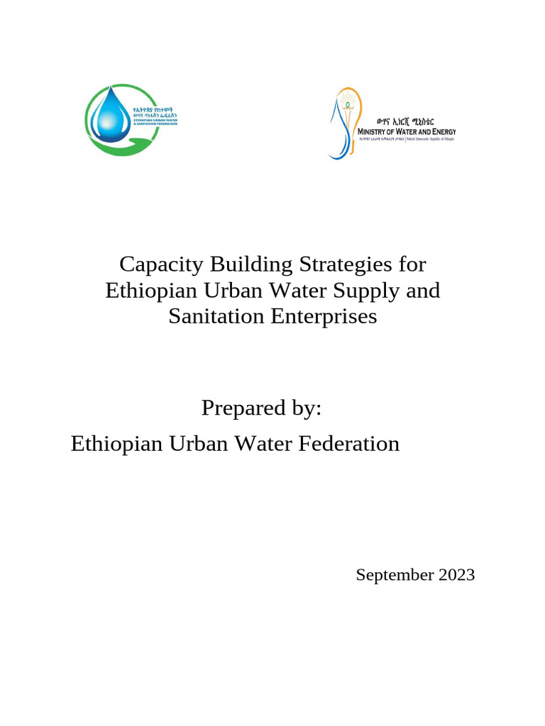 Capacity Building Strategies-Final | PDF | Capacity Building | Wash