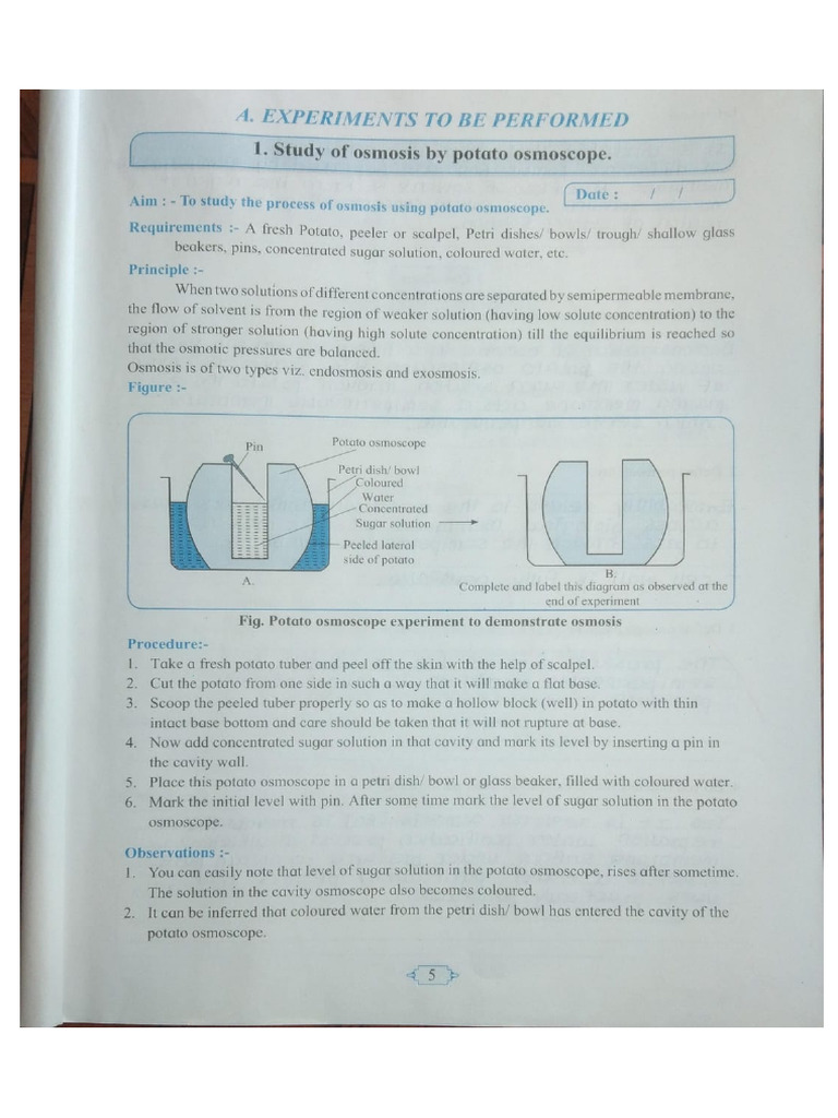 Bio Practical Book | PDF