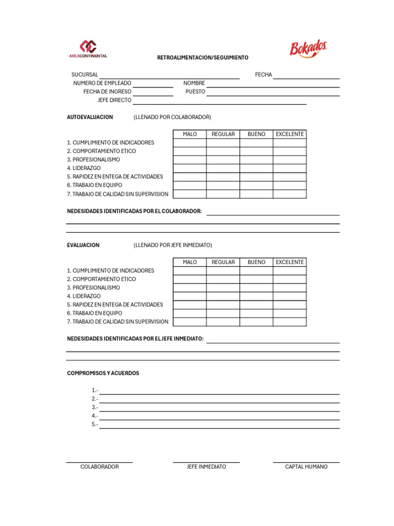 Formato Retroalimentacion Seguimiento | PDF