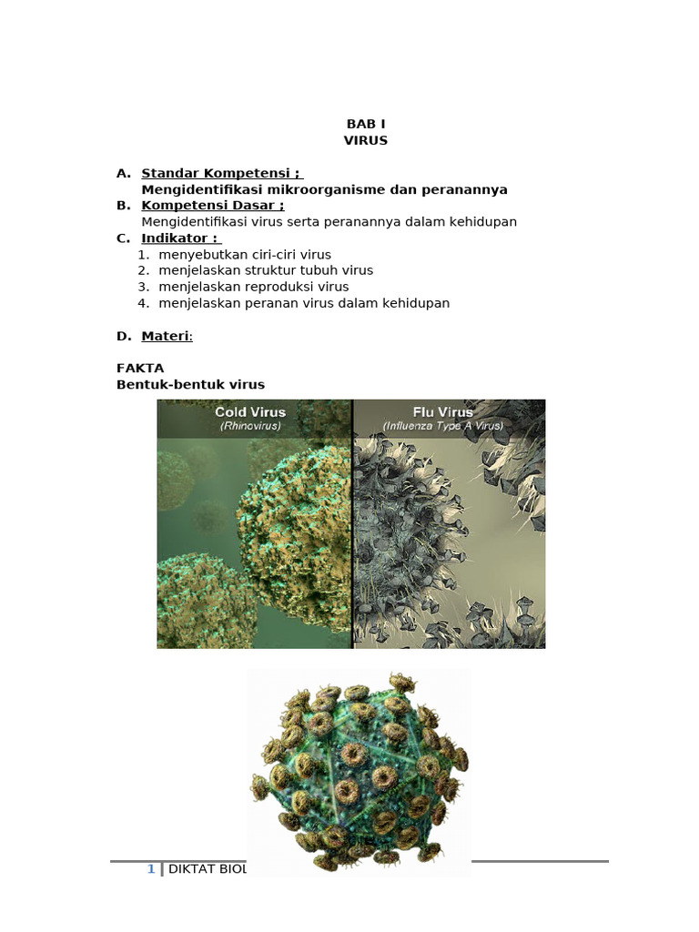 Memahami Virus: Ciri, Struktur, dan Reproduksi | PDF
