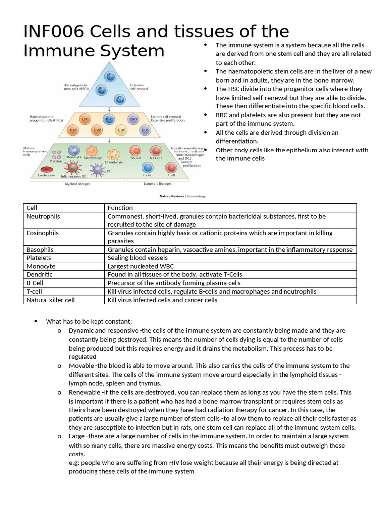 INF006 Cells and Tissues of The Immune System | PDF | Lymphatic System ...
