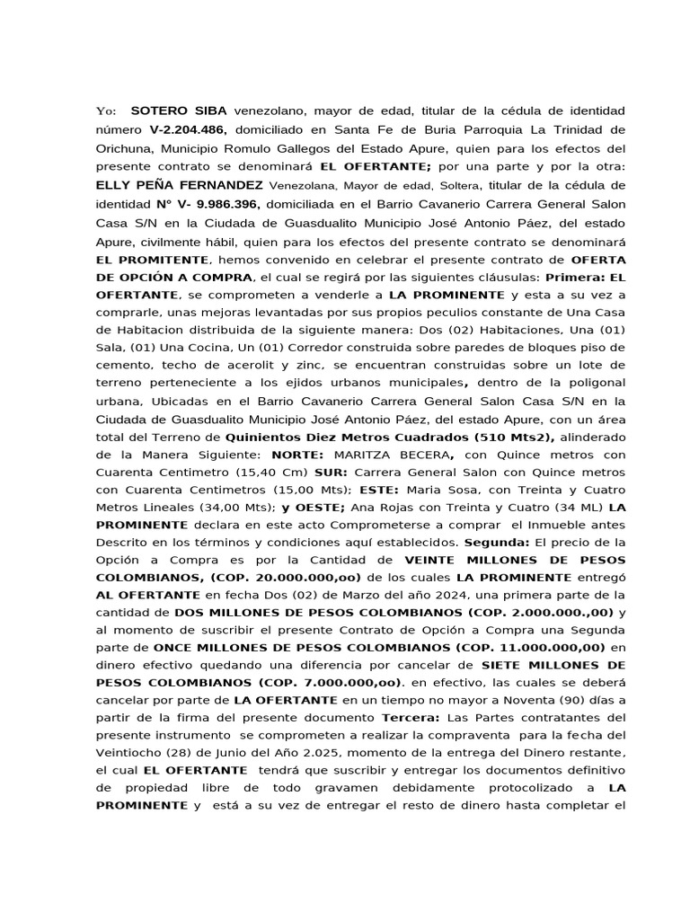Opción A Compra Elly | PDF