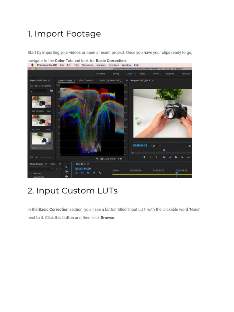 Installing and Applying LUTs in Premiere Pro | PDF | Directory ...