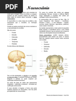 Forames do Crânio e Suas Estruturas | PDF | Anatomia humana | Anatomia dos primatas