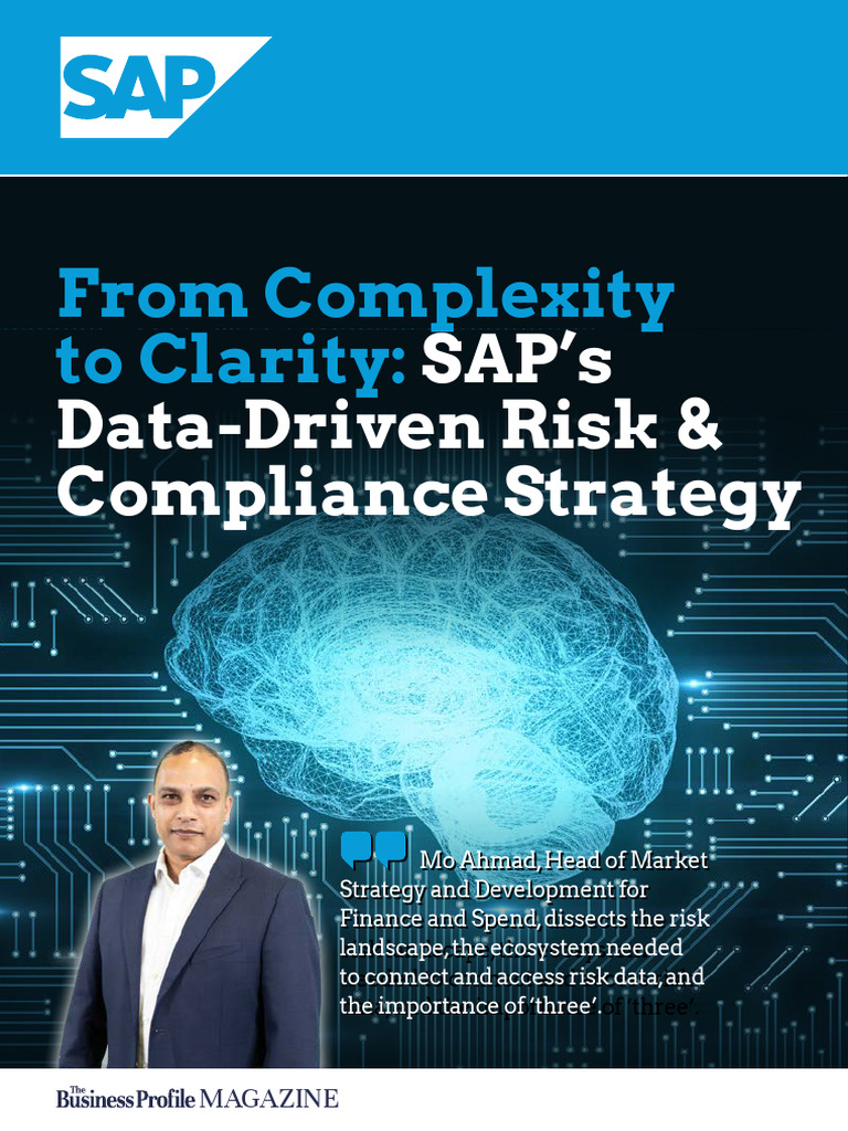 Sap Profile Issue 2025 | PDF | Supply Chain | Risk