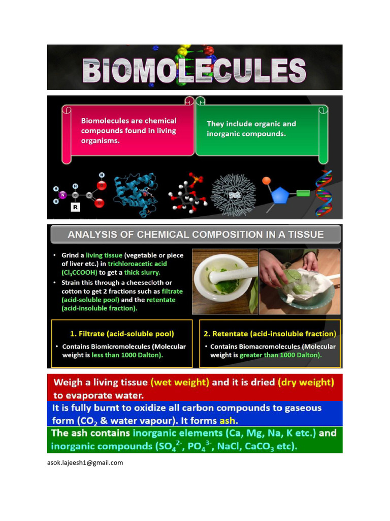 9 Biomolecules - LAJEESH | PDF
