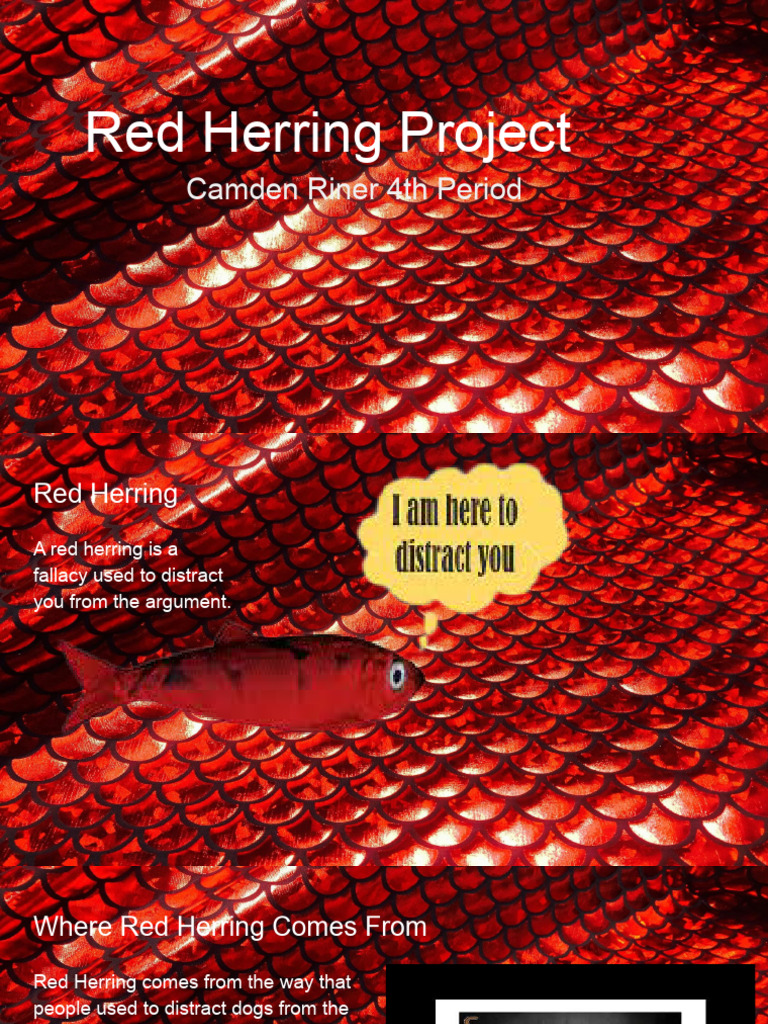 Red Herring Project | PDF