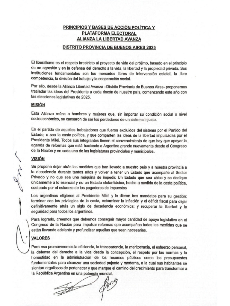 02 503 - Plataforma LLA | PDF