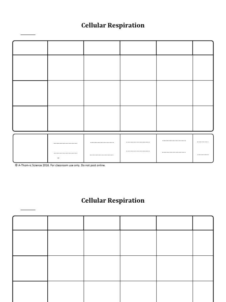 Stages of Cellular Respiration Explained | PDF | Cellular Respiration ...