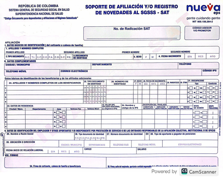 Formulario Sat | PDF