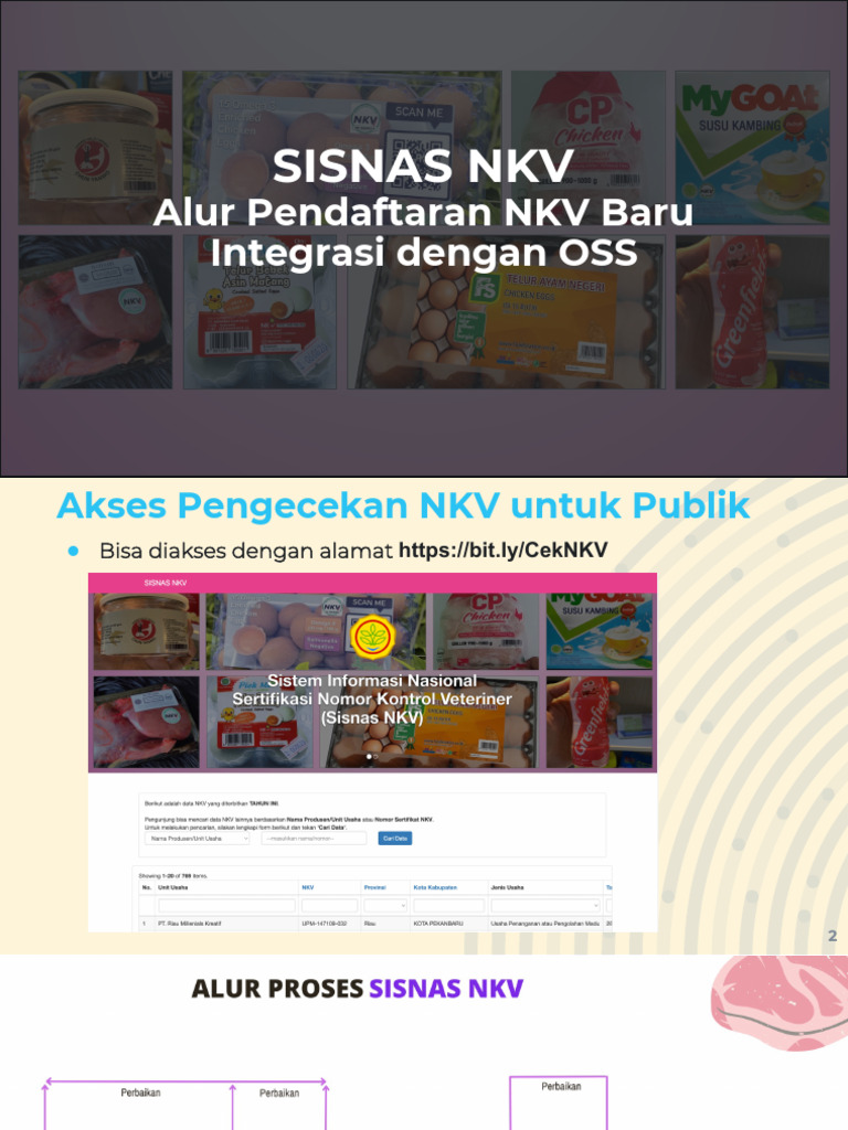 Panduan Pendaftaran NKV Baru Online | PDF