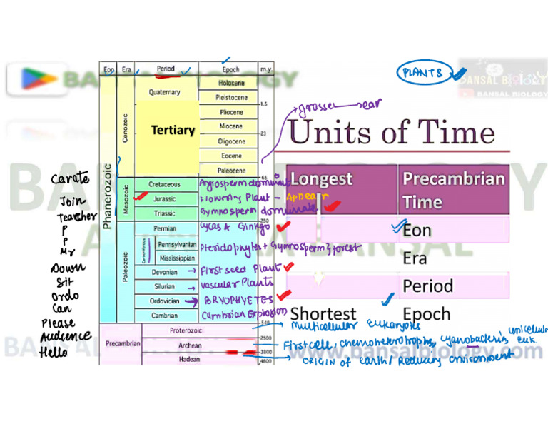 Geological Time Scale | PDF