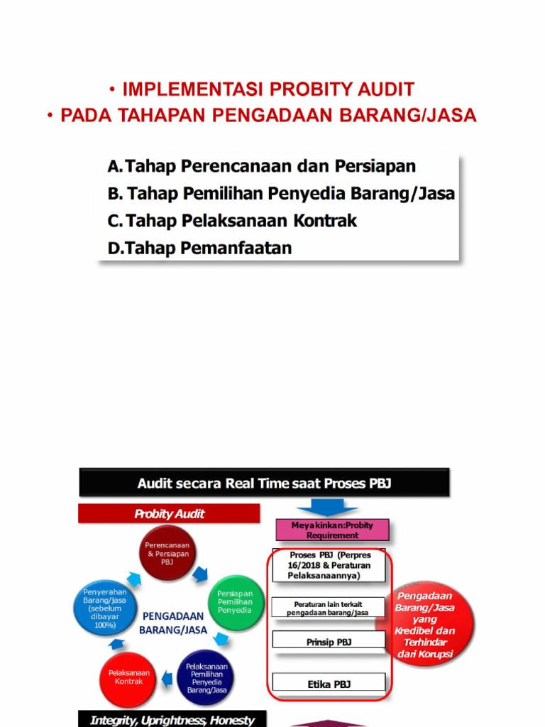 Edit - Overview Probity Audit | PDF