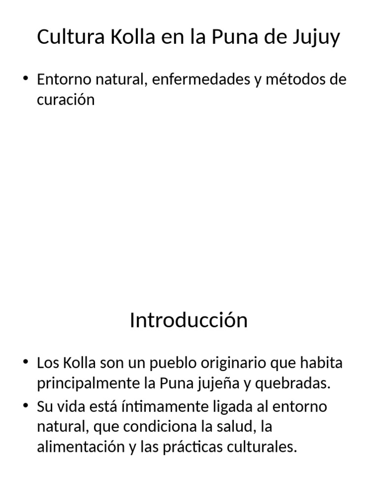 Salud y medicina Kolla en la Puna | PDF