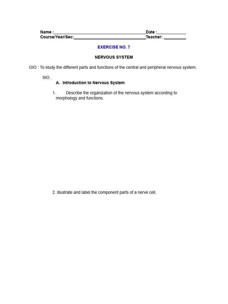 Print Lab Exercise - Nervous System | PDF | Spinal Cord | Cerebrospinal ...