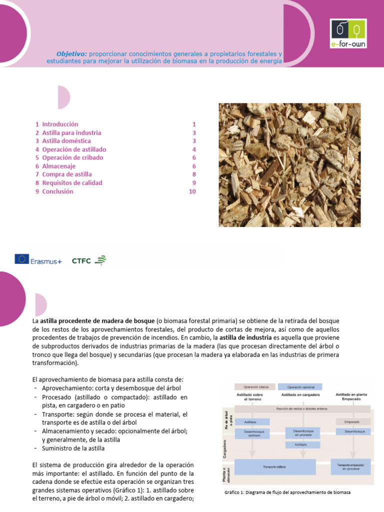 Producción de Astilla Forestal para Energía | PDF | Madera | Humedad