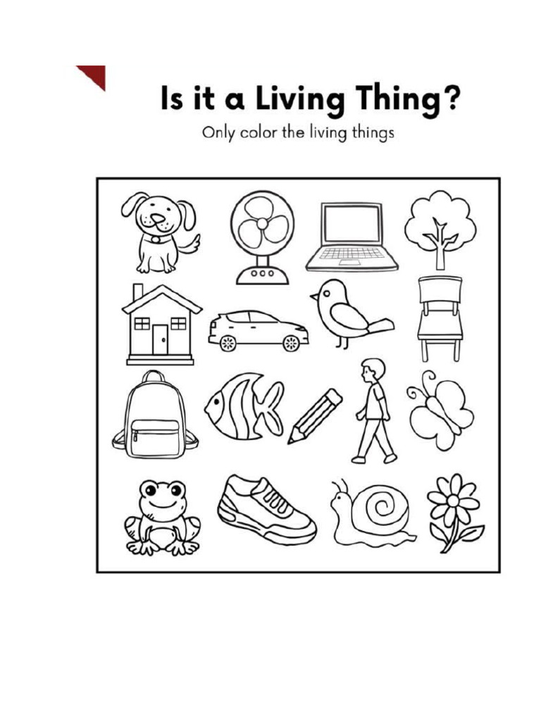 Living Thing | PDF