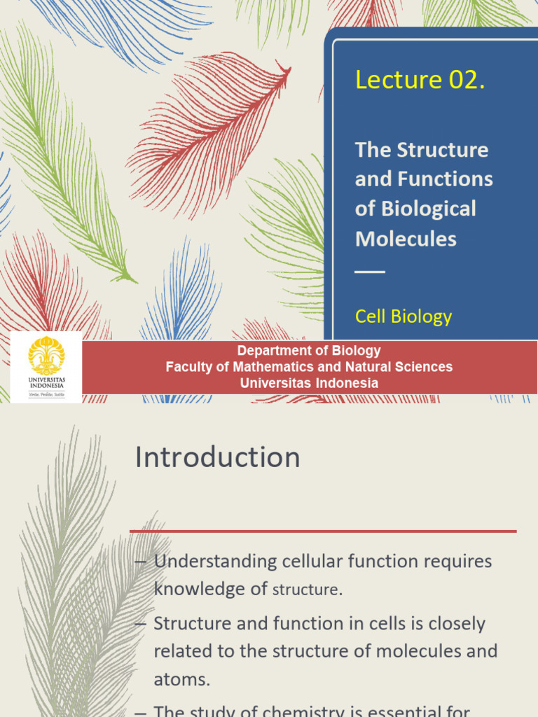 Structure and Functions of Biological Molecules | PDF | Rna | Nucleotides