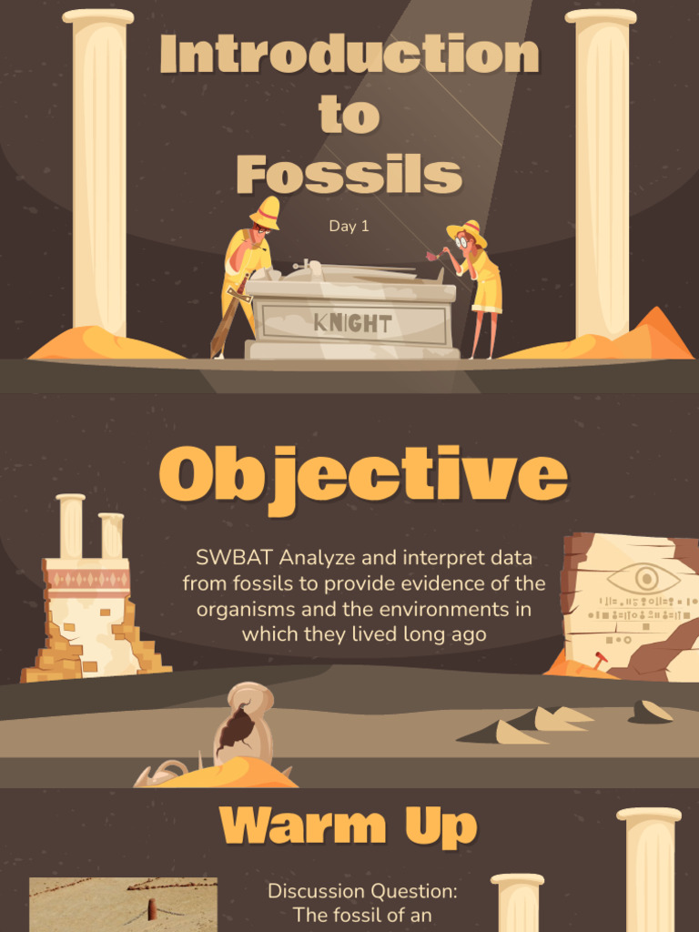Edited - Intro To Fossils Day 1 | PDF | Fossil | Amber
