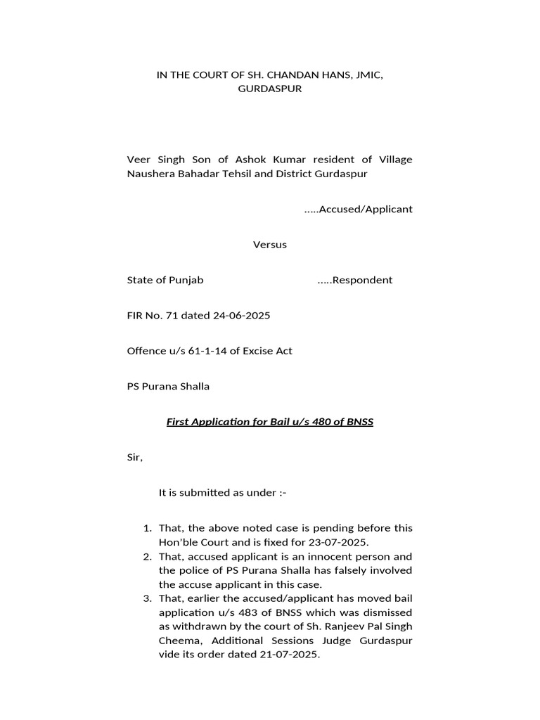Bail Application Under Section 480 BNSS | PDF