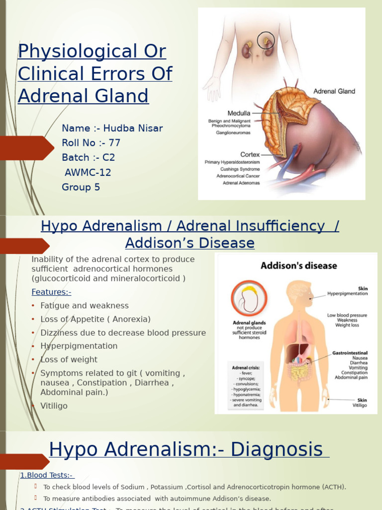 Adrenal Gland Class Presentation of Adrenal Hyperplasia | PDF | Adrenal Gland ...