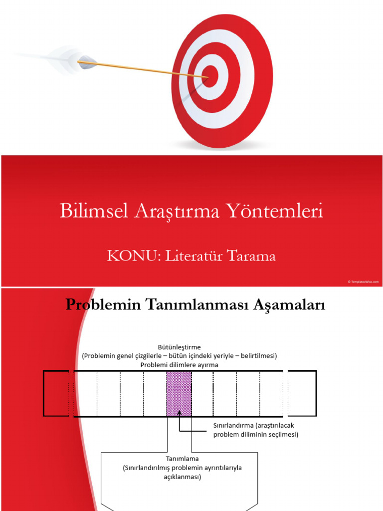 Literatür Taraması | PDF