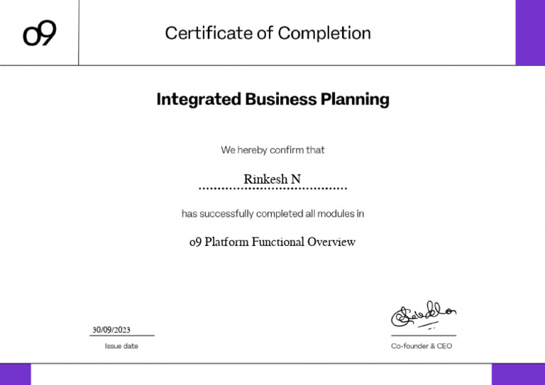 o9 Platform Functional Overview | PDF