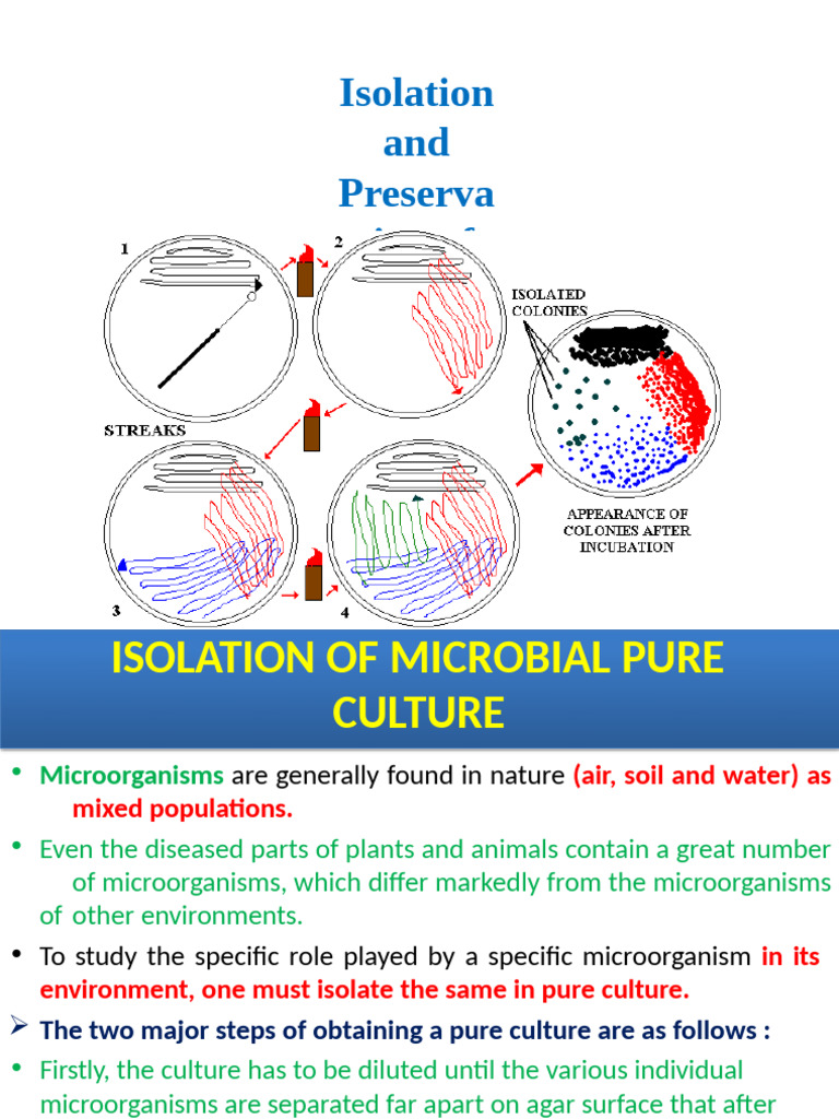 Isolation and Preservation of Microorganisms | PDF | Growth Medium ...