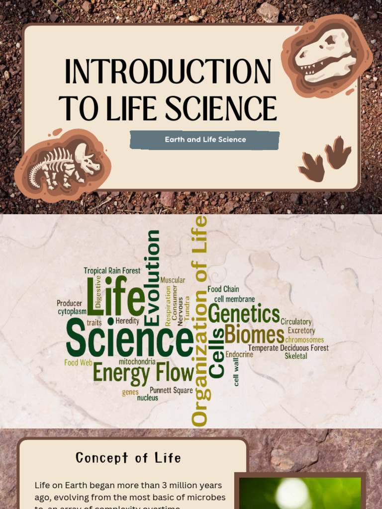Overview of Life Science Concepts | PDF | Biology | Organisms
